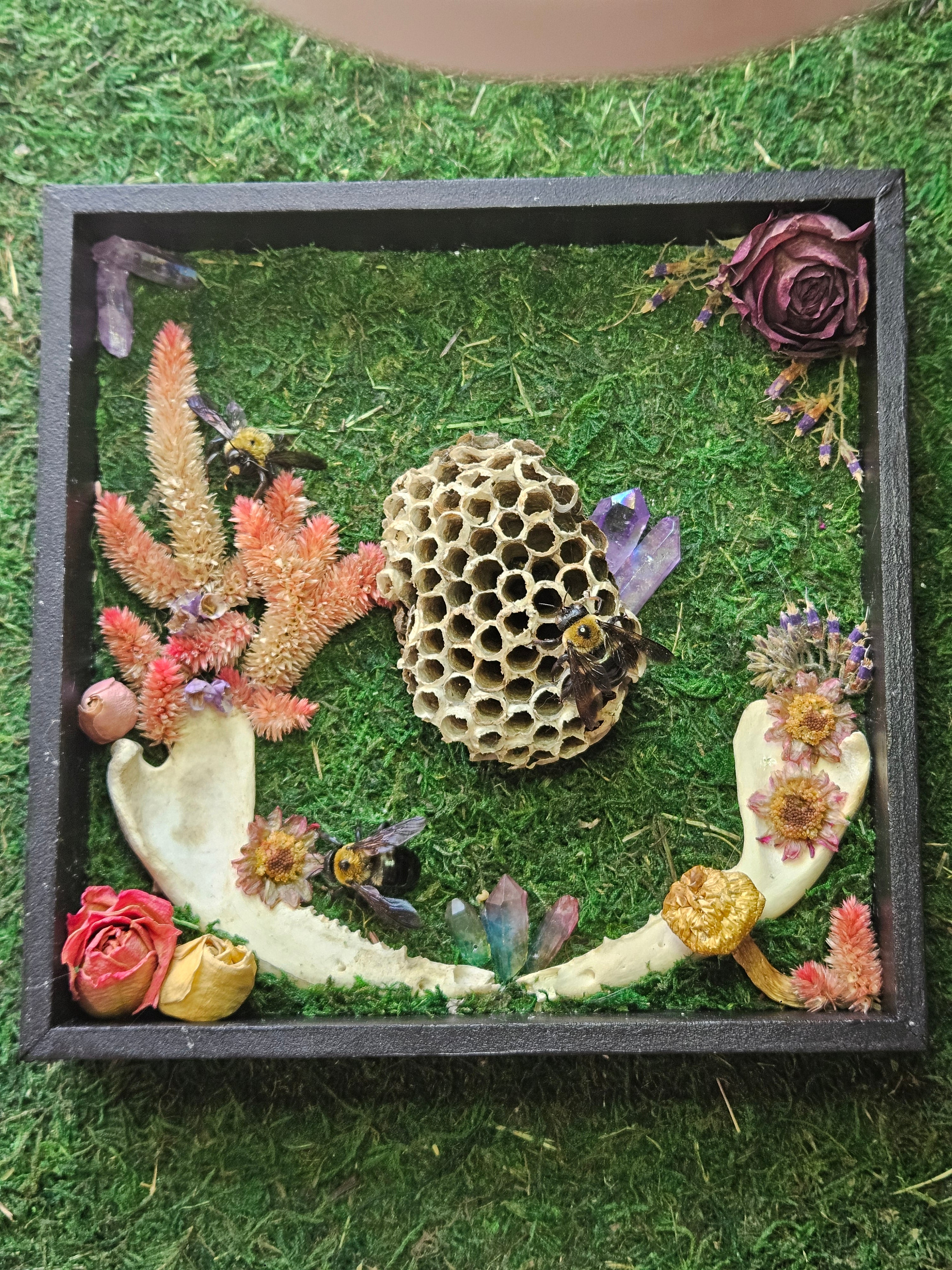 Shadow Box - Jaw bones with Flowers and Bees – Cauldron Queen Creations